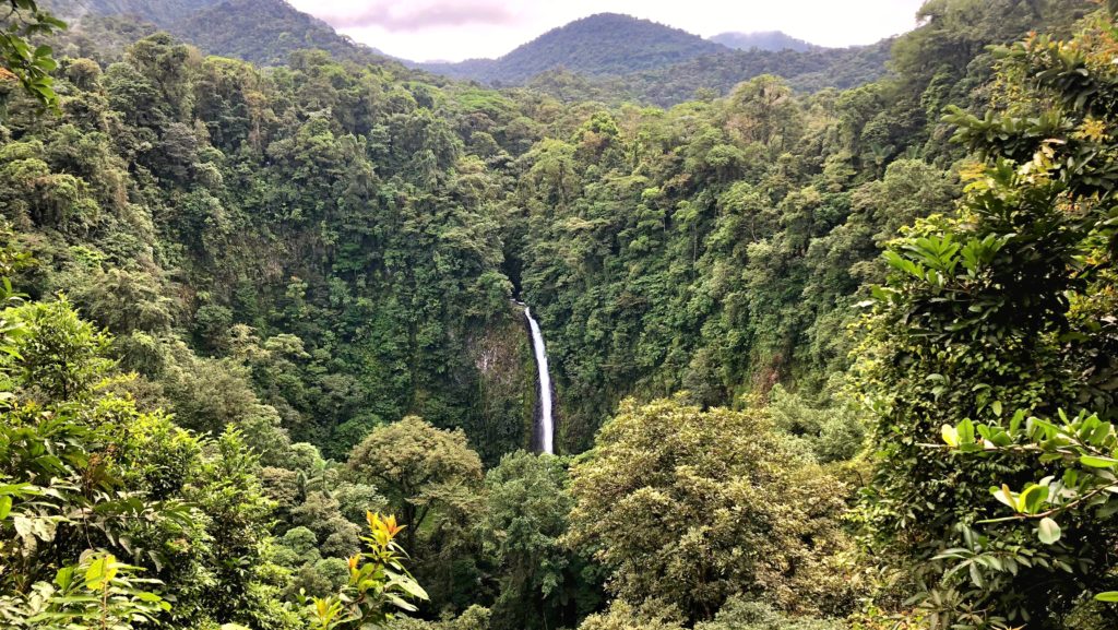 Costa Rica - Beach and Rainforest Adventures - Traveling Graces